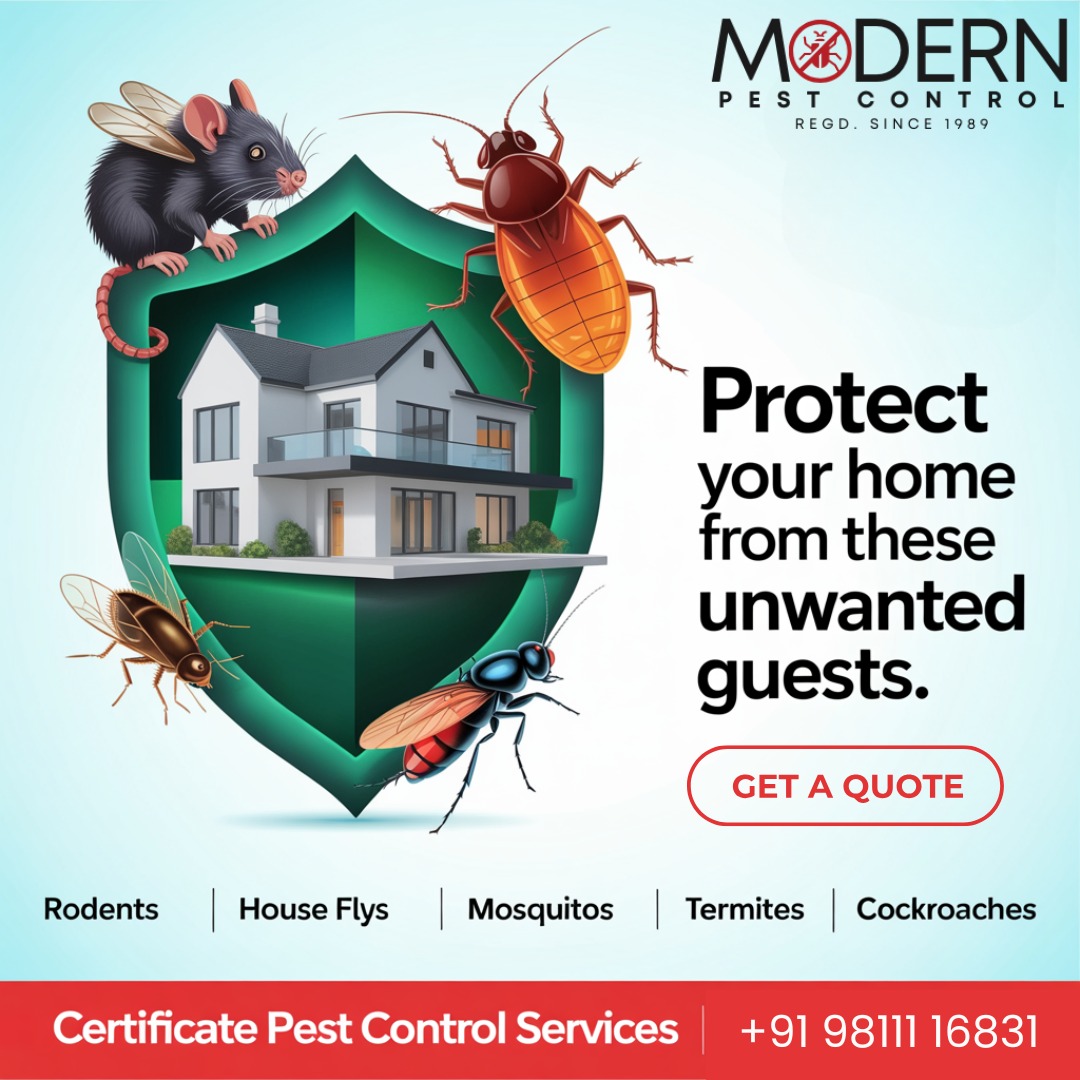 Modern Pest Control - Blog